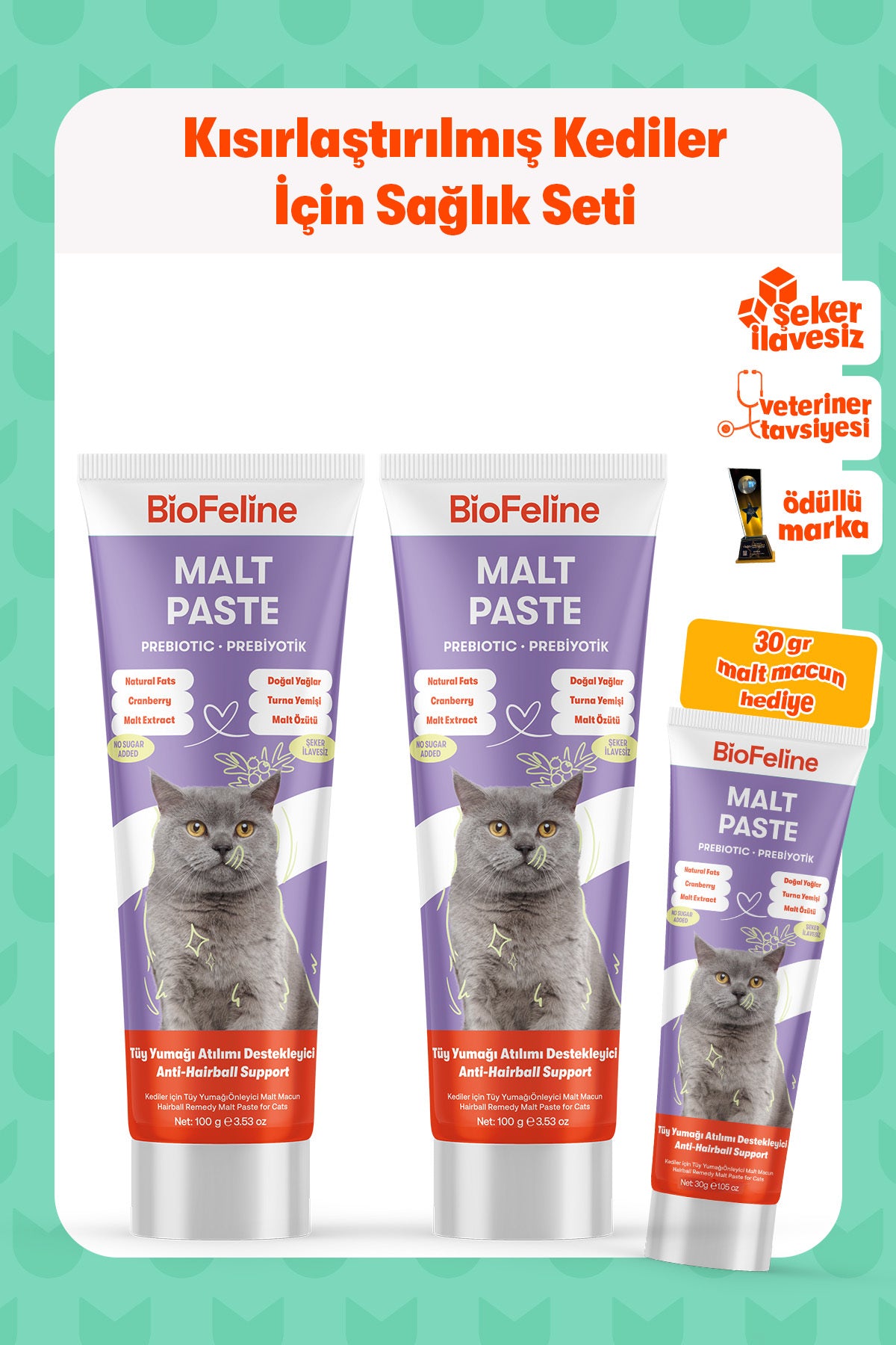 Malt Paste 100g & Malt Paste 100g ( Malt paste 30 gr hediye) – Vibee